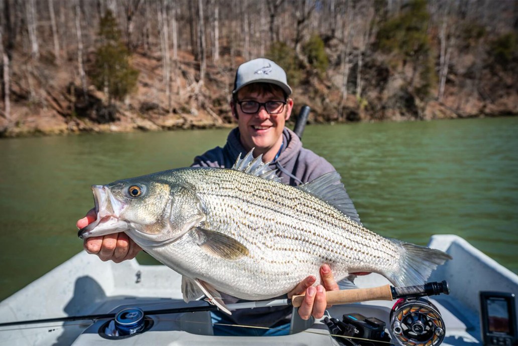 Arizona Tiger Trout Record Broken for Second Time in 6 Months | Outdoor ...