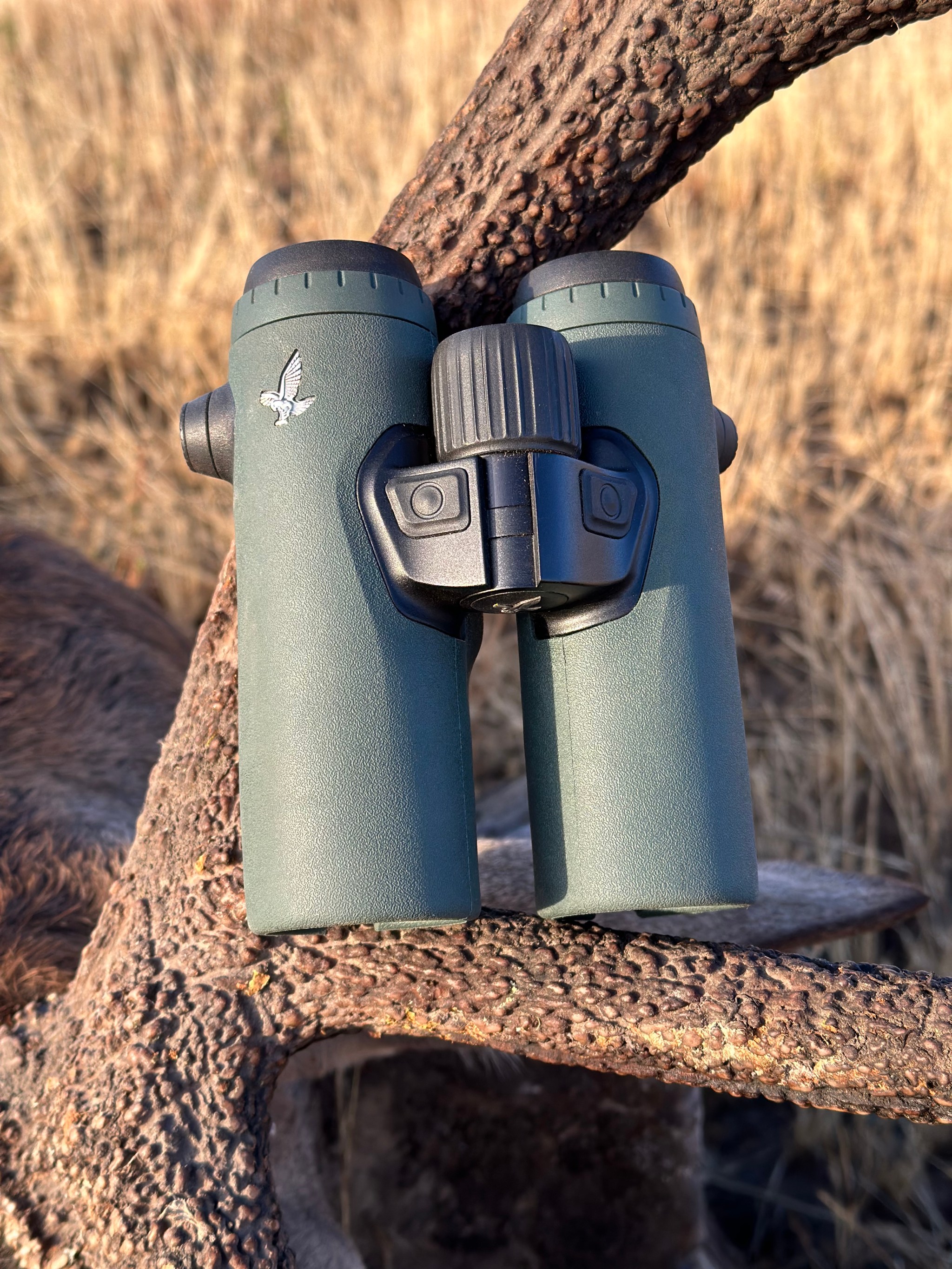 The Best Compact Binoculars, Tested and Reviewed | Outdoor Life