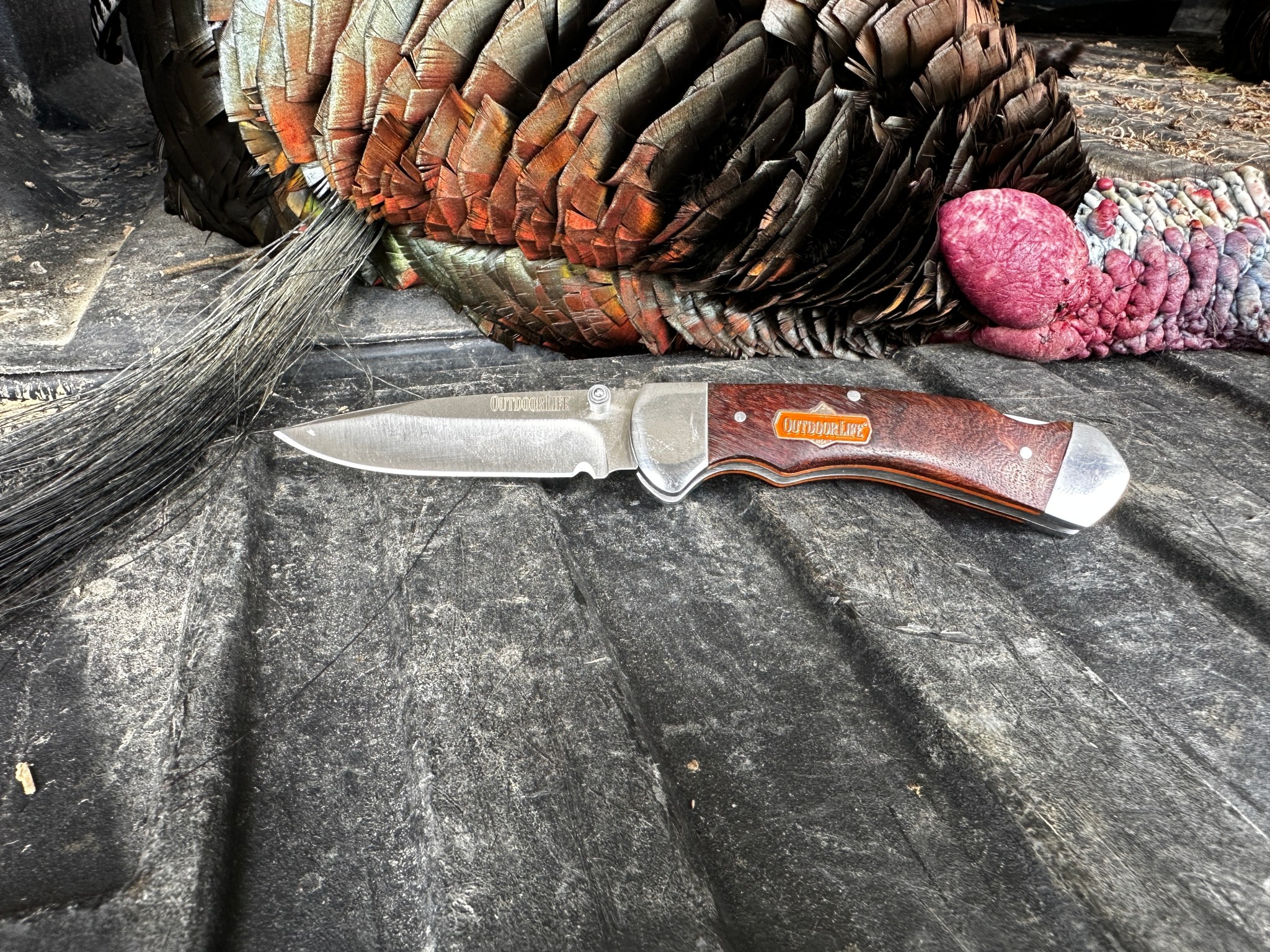 We Launched a Knife Collection: The 12 New Outdoor Life Knives ...