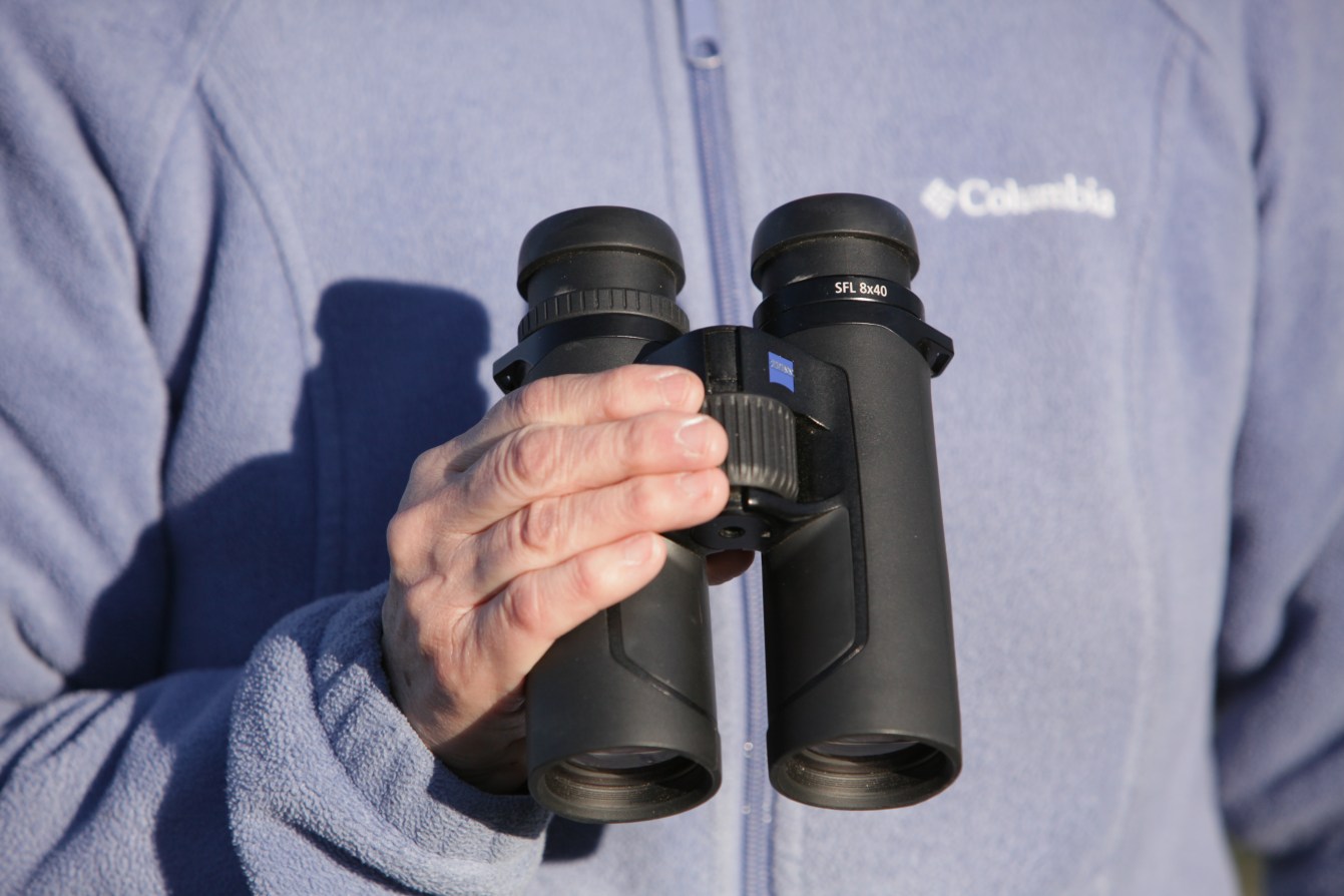 The 7 Best Binoculars for Bird Watching, Tested and Reviewed