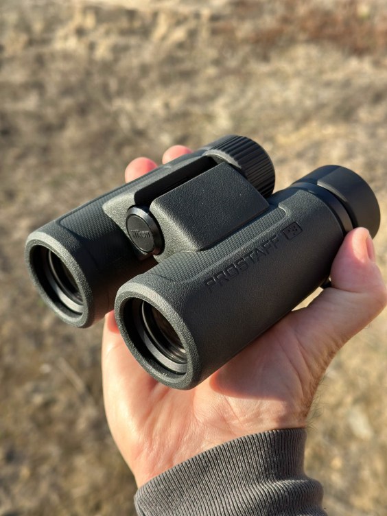 The Best Compact Binoculars, Tested and Reviewed | Outdoor Life