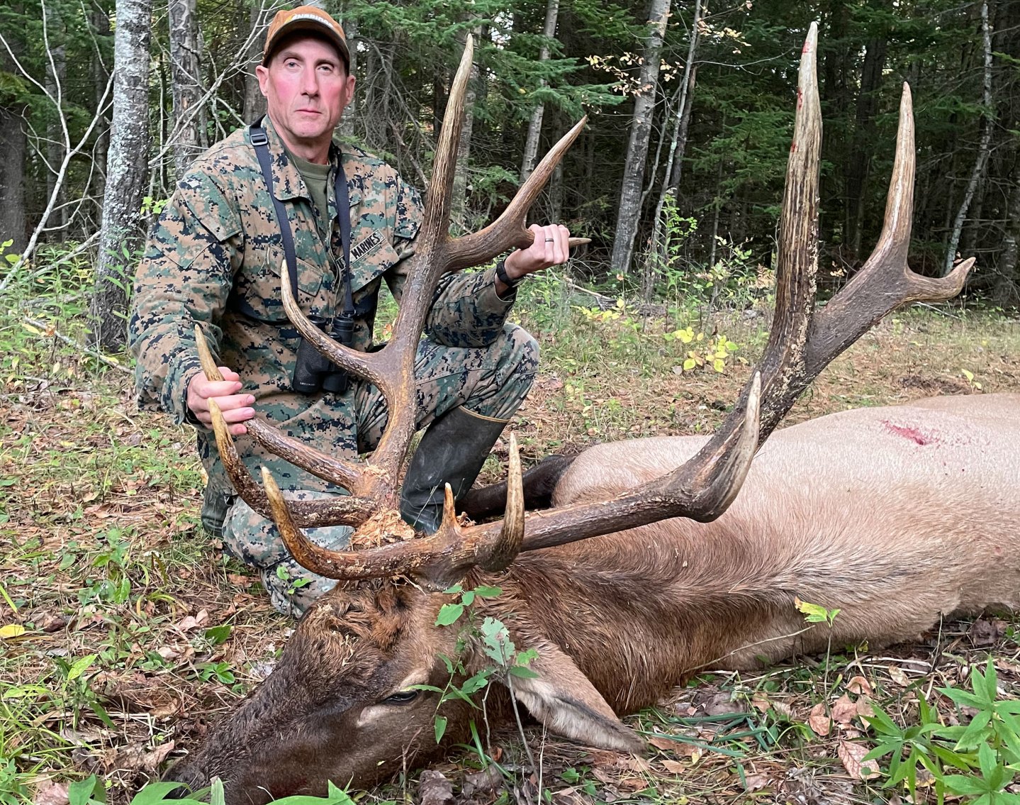 A Four-Season Guide to Patterning Big Bull Elk
