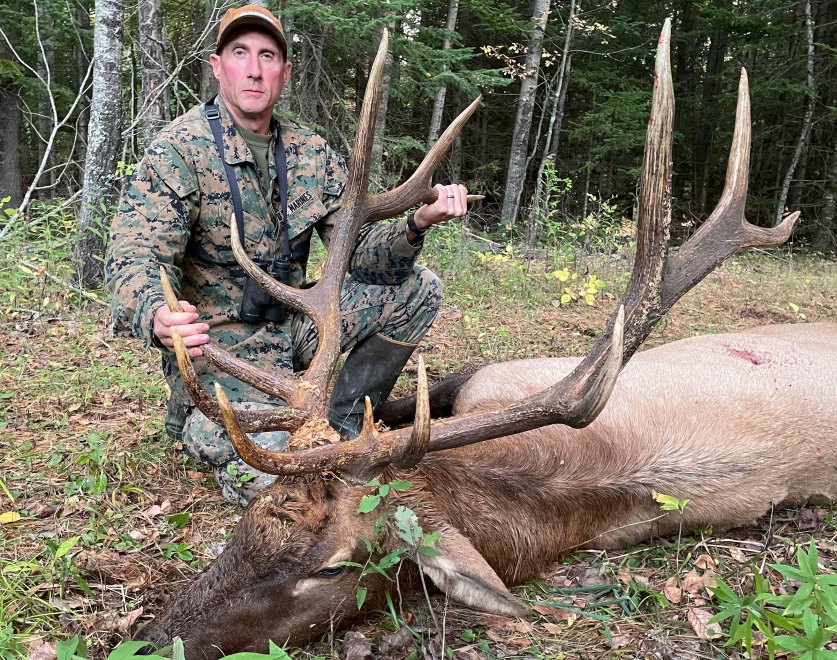 A Four-Season Guide to Patterning Big Bull Elk