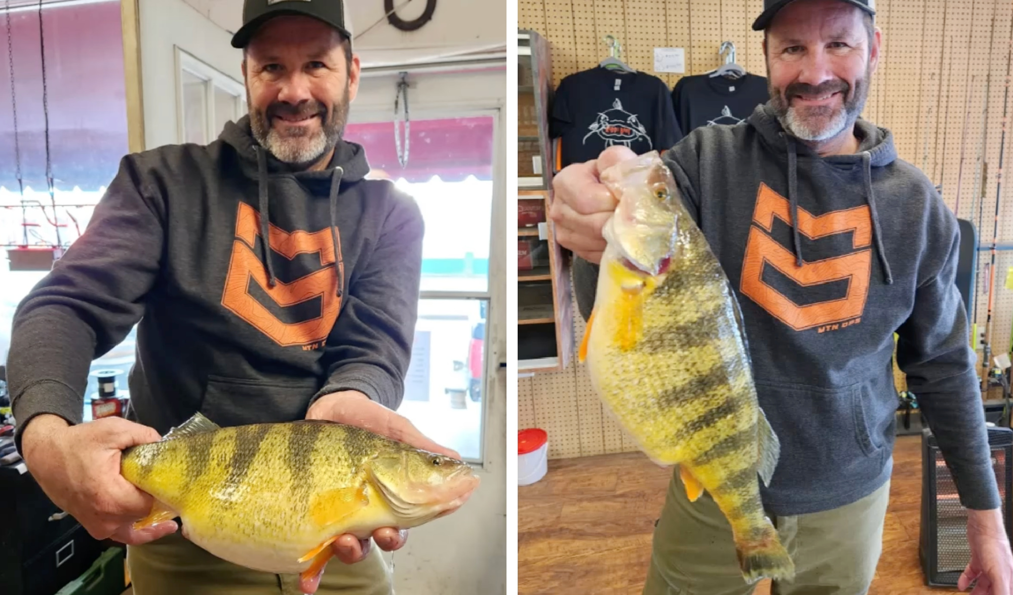 World Record Yellow Perch