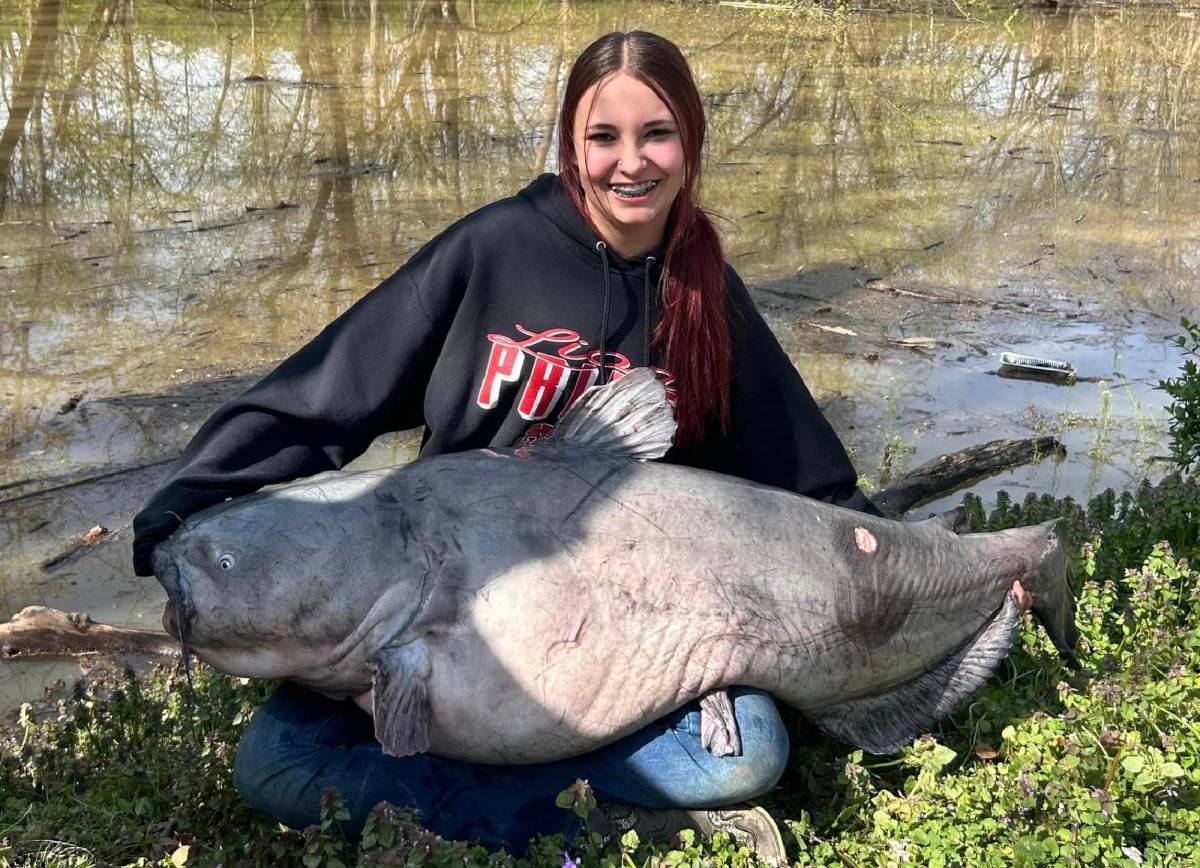 101-Pound Blue Catfish Caught on Jugline Is Officially the New Ohio ...