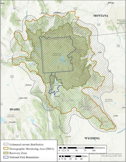 First Grizzly Bear in Bighorn Mountains in a Century Euthanized for ...
