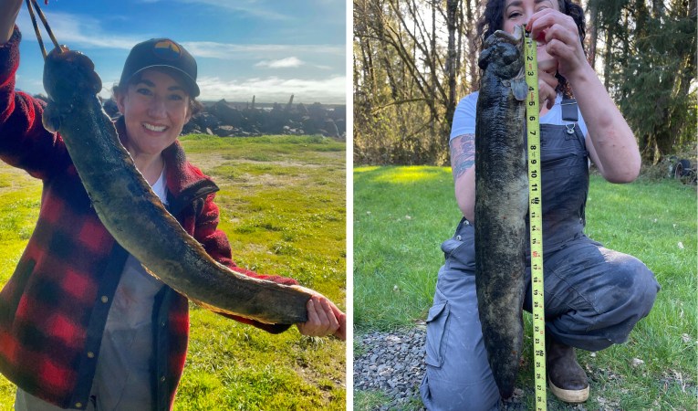 Oregon Angler Lands Potential World-Record Monkeyface Prickleback ...
