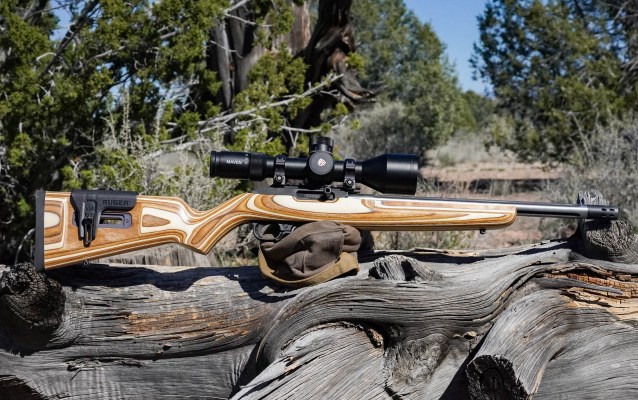 Best .22 LR Rifles of 2025 , Tested and Reviewed