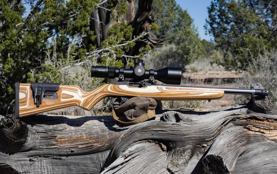 Best .22 LR Rifles of 2024 , Tested and Reviewed