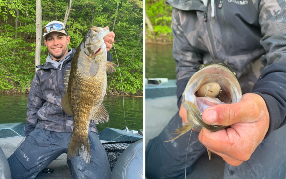 How to Catch Smallmouth Bass | Outdoor Life