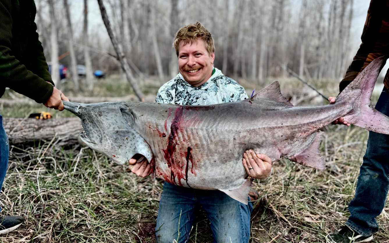 Watch: Giant Paddlefish Caught in North Dakota Ties State Record ...