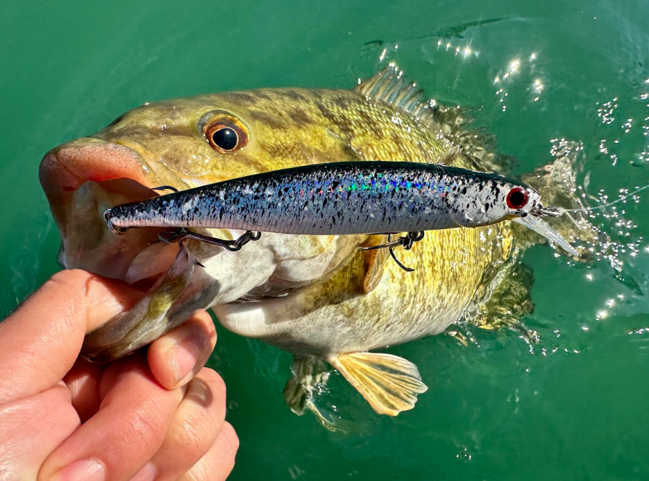 How to Catch Smallmouth Bass | Outdoor Life