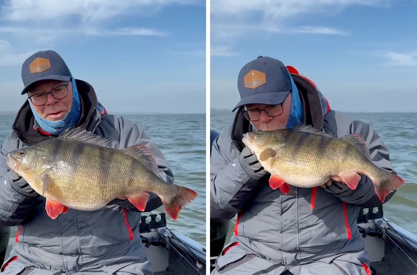 Watch: Swedish Fisherman Catches the "Perch of His Dreams" | Outdoor Life