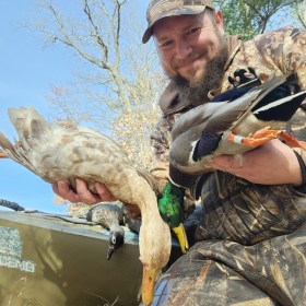 DNA Testing Confirms First Ever Documented Leucistic Black Duck