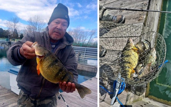Indiana Fisherman Catches State-Record Perch During Fishing Derby ...