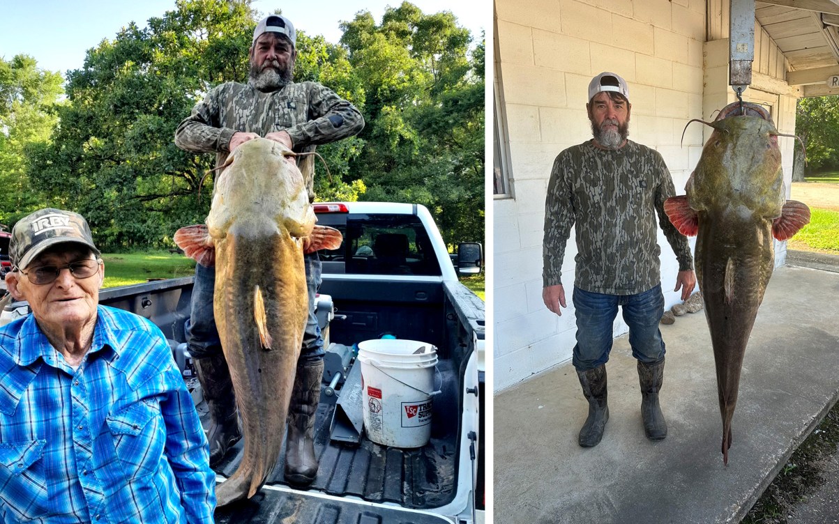 Tips for Catching Trophy Flathead Catfish