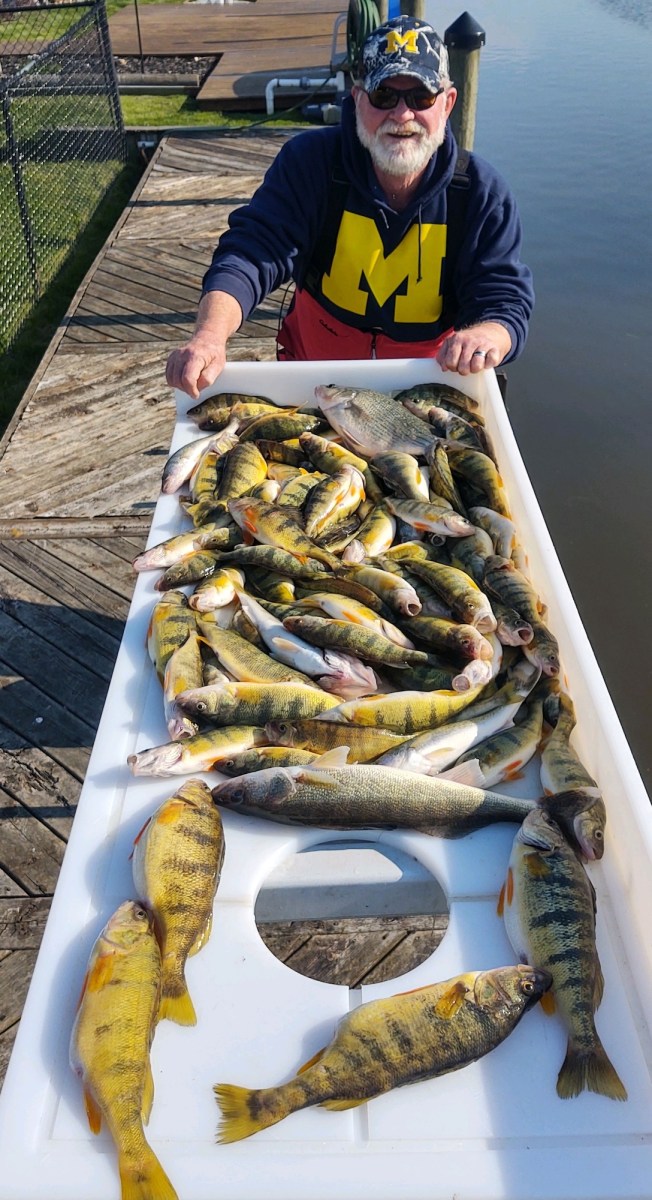 New Record White Perch Is So Big It Was Misidentified as a White Bass