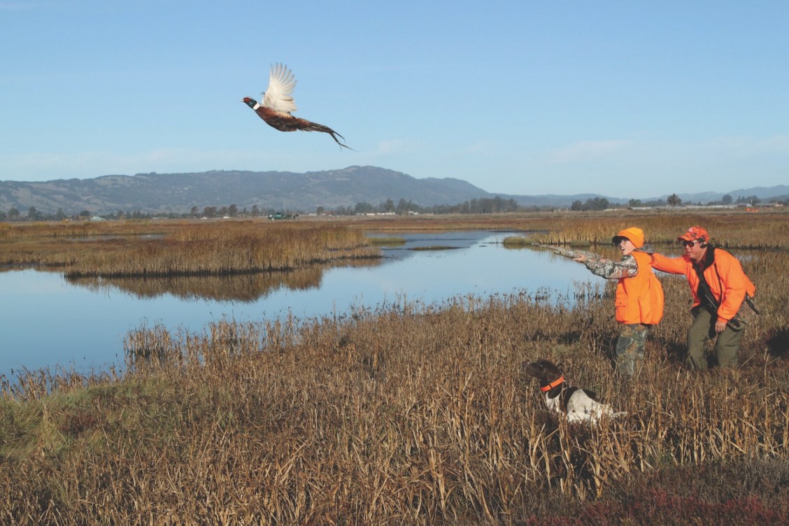 The Best Hunting Dogs | Outdoor Life