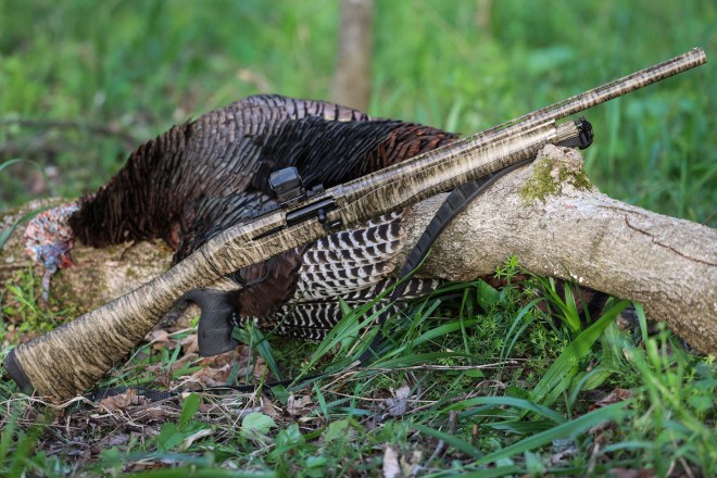 The Best Turkey Shotguns of All Time | Outdoor Life