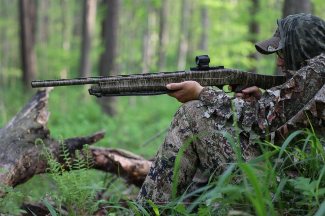 12 Gauge vs 20 Gauge for Turkey Hunting: An Honest Look at the Data ...
