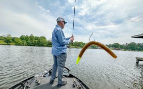 Wacky Rig: A Complete Guide on Rigging and How to Fish It