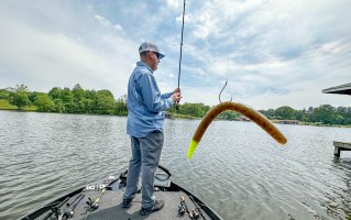 Wacky Rig: A Complete Guide on Rigging and How to Fish It