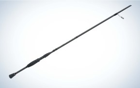 Wacky Rig: A Complete Guide on Rigging and How to Fish It