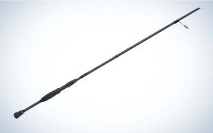 Wacky Rig: A Complete Guide on Rigging and How to Fish It