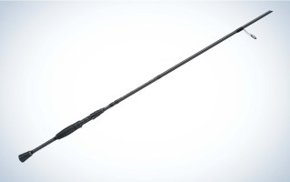 Wacky Rig: A Complete Guide on Rigging and How to Fish It