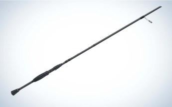 Wacky Rig: A Complete Guide on Rigging and How to Fish It