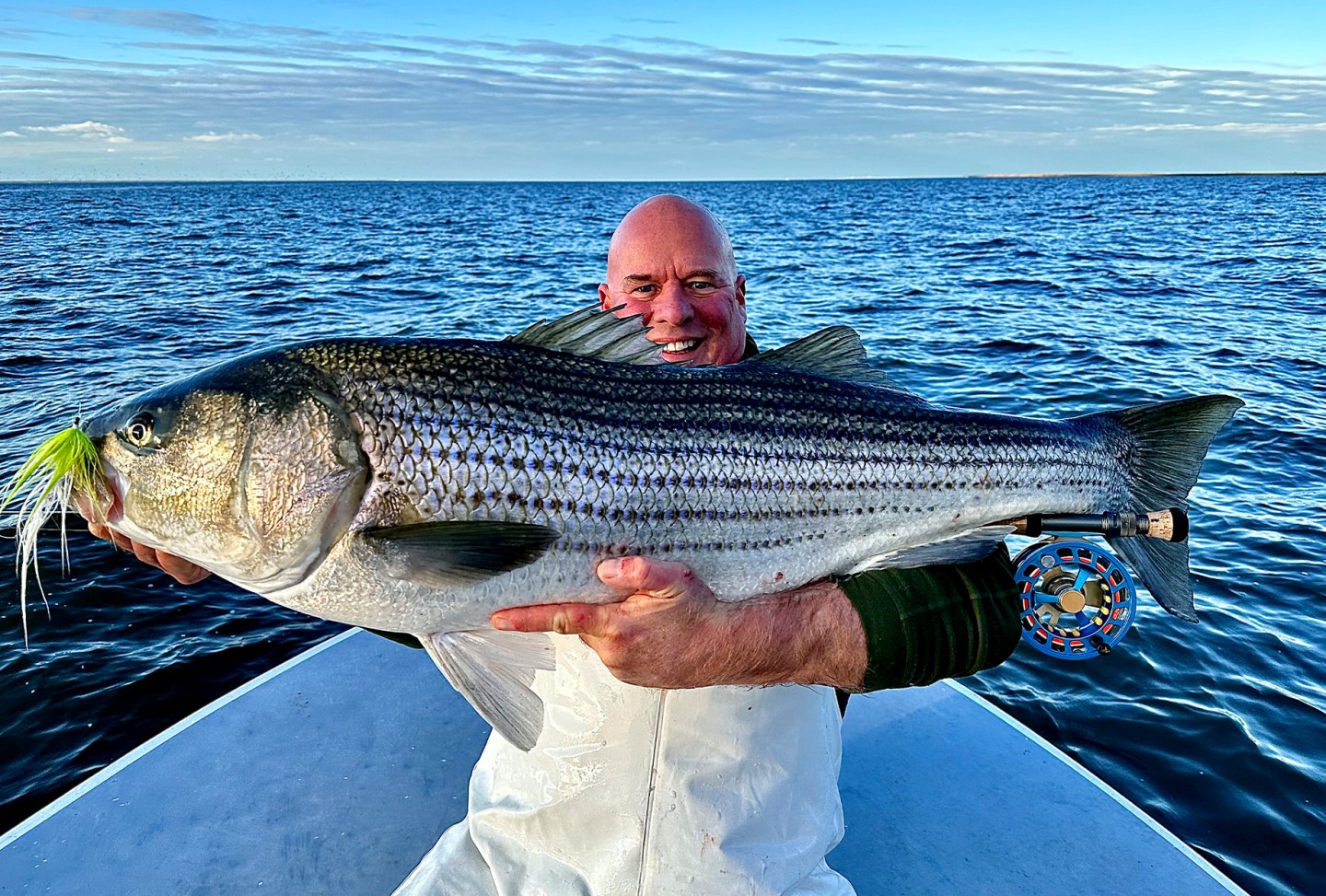 Shark Eats What Could Have Been the New World-Record Red Snapper ...