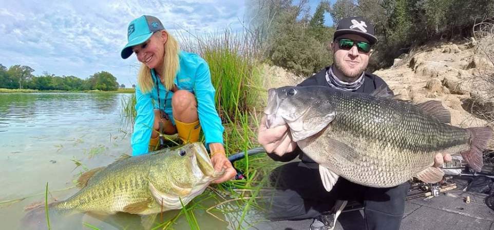 7 New Bass Species Just Became Eligible for World Records, Including ...