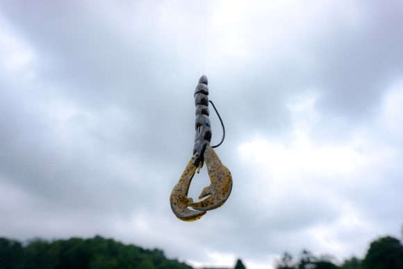 How to Fish a Texas Rig: A Complete Guide