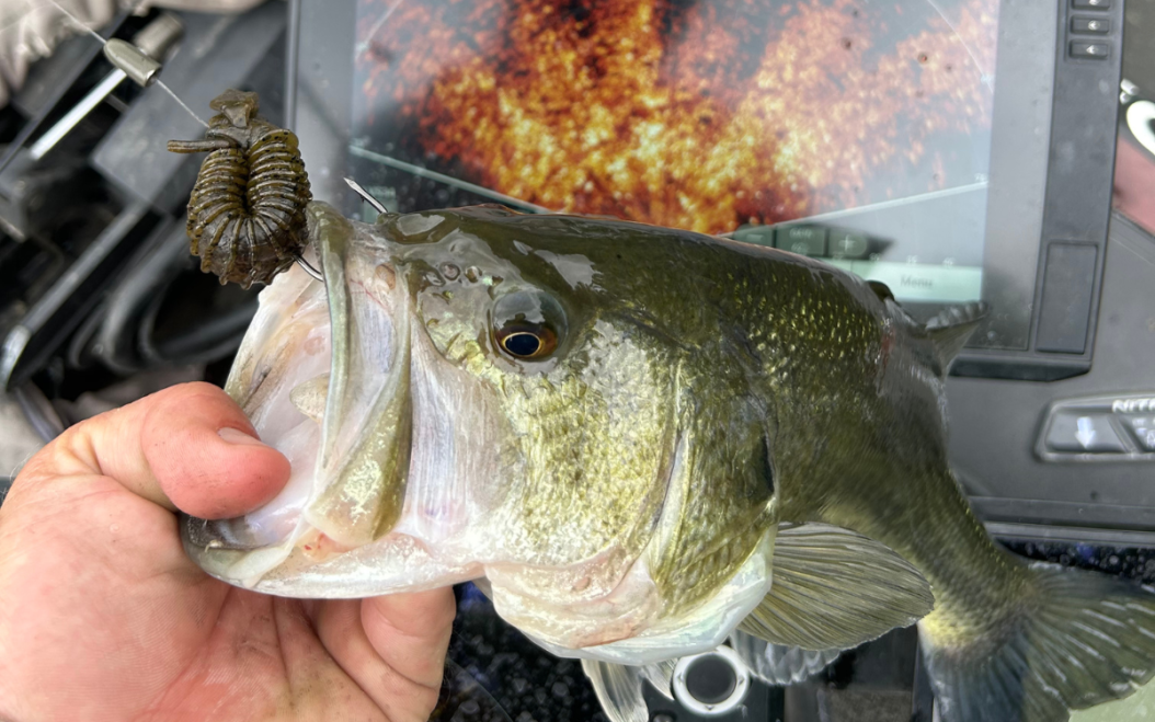 How to Catch More Smallmouth Bass on the River | Outdoor Life