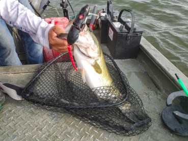 Throw Big Rat Baits to Catch Bigger Bass | Outdoor Life