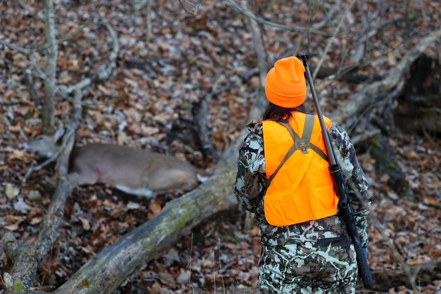 It’s Never Too Late to Learn to Hunt