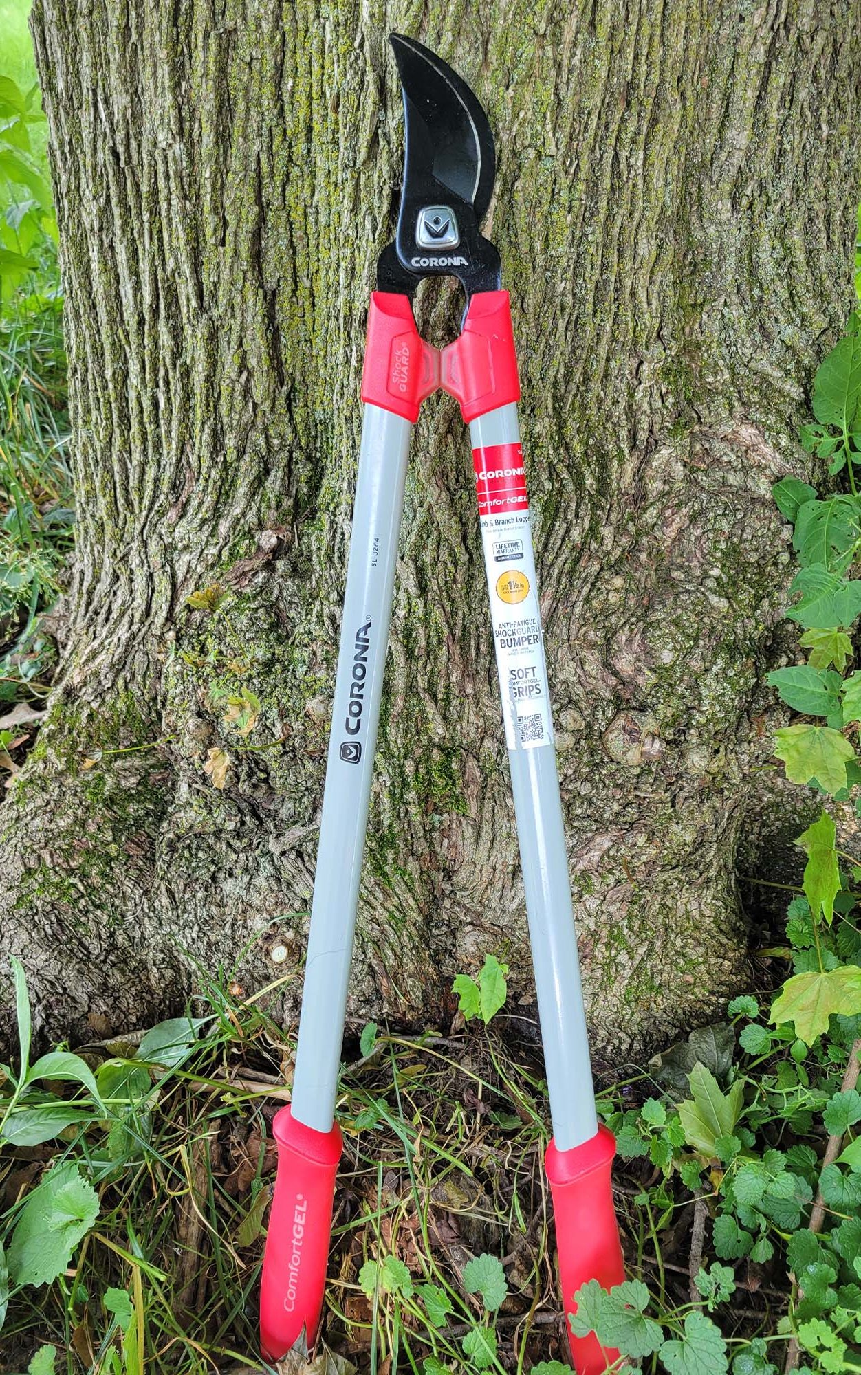 The Best Loppers of 2025, Tested and Reviewed | Outdoor Life