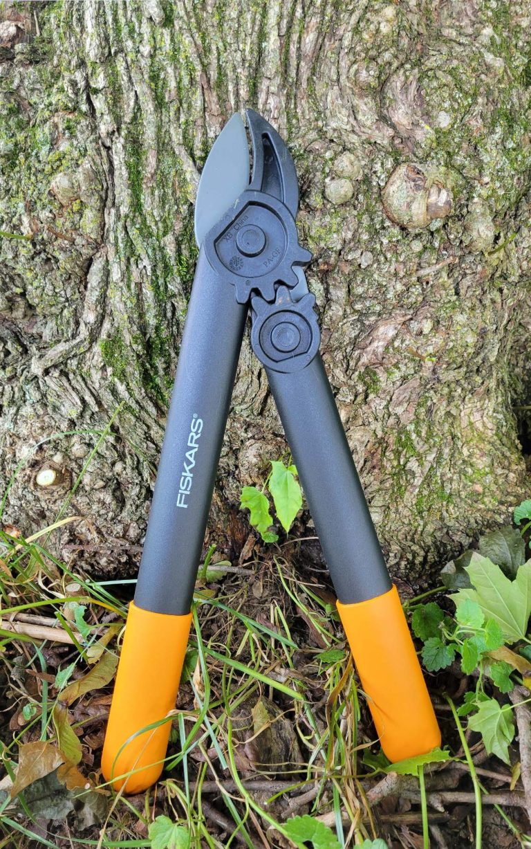 The Best Loppers of 2025, Tested and Reviewed | Outdoor Life