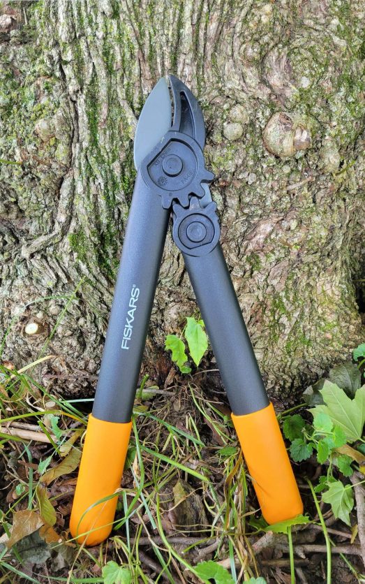 The Best Loppers of 2025, Tested and Reviewed | Outdoor Life