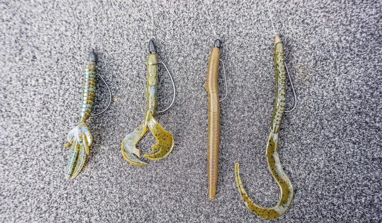 How to Fish a Texas Rig: A Complete Guide