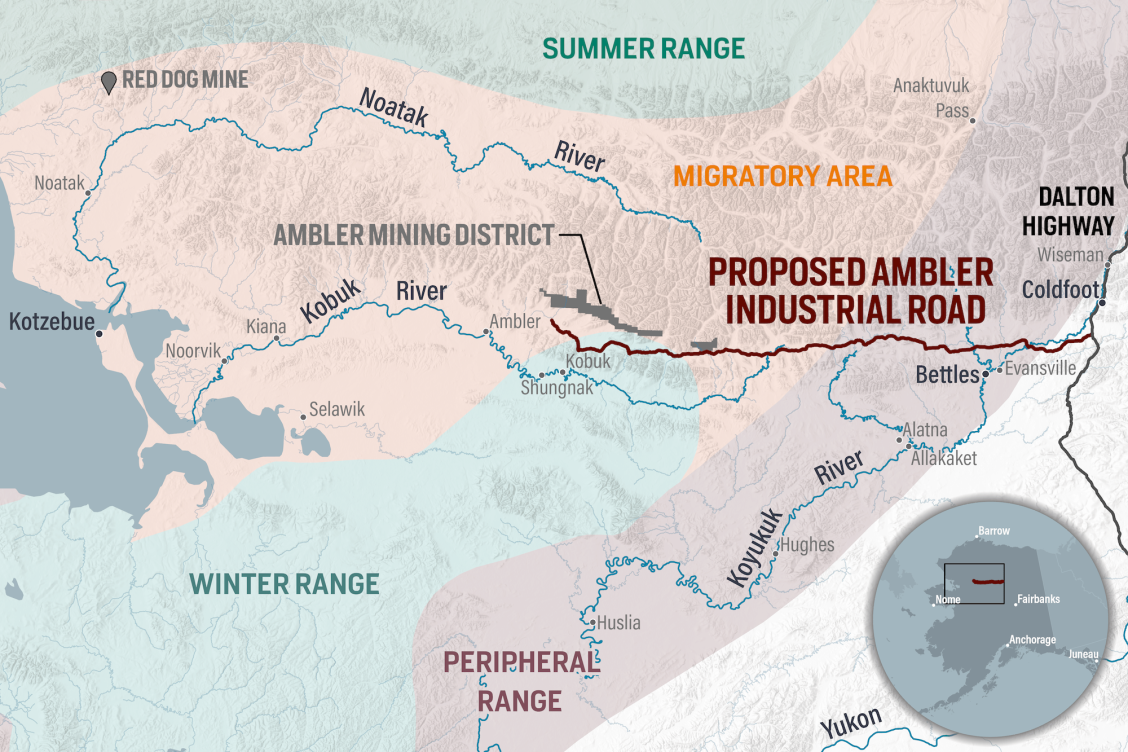 BLM Officially Blocks the Ambler Road, a 211-Mile Industrial Corridor Through Alaska's Iconic ...