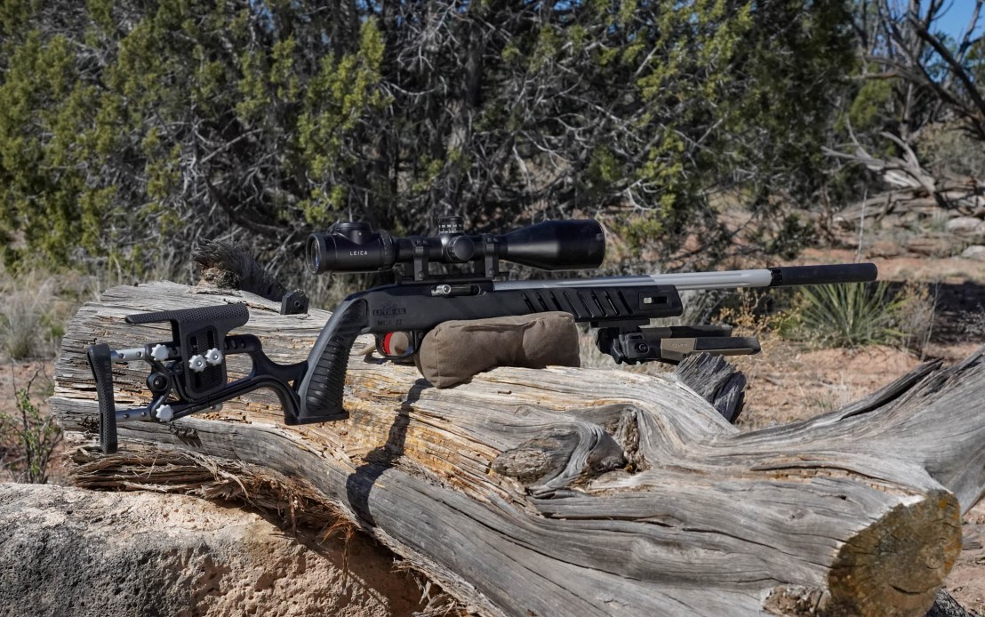 The Best Ruger 10/22 Stocks, Tested and Reviewed | Outdoor Life