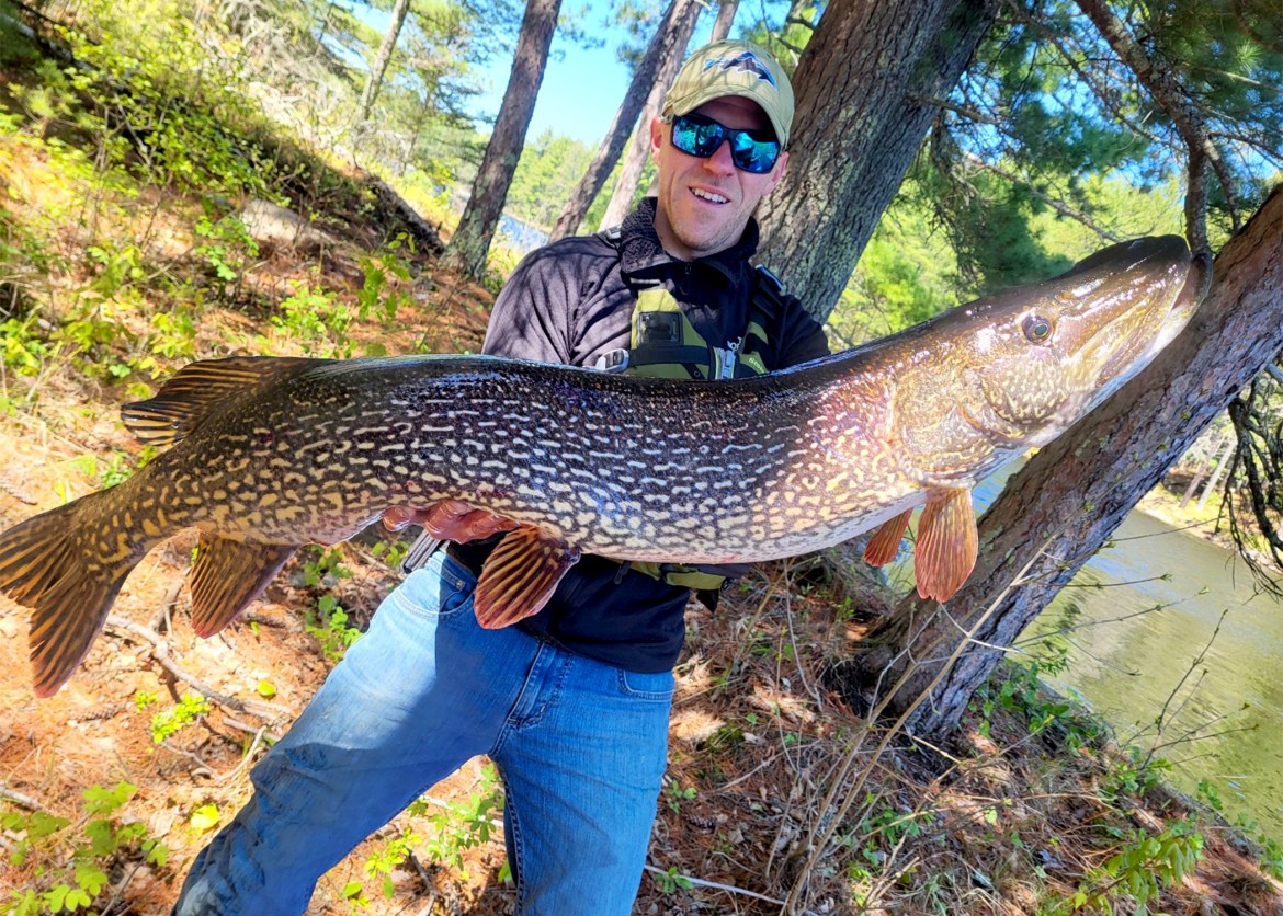 Huge Pike Caught in the BWCA Would Have Broken Minnesota's State Record