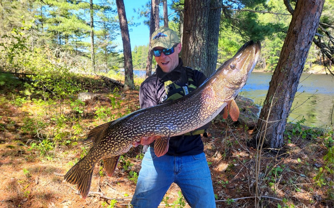 Huge Pike Caught in the BWCA Would Have Broken Minnesota's State Record