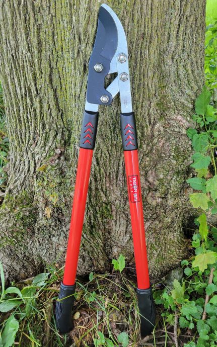 The Best Loppers of 2025, Tested and Reviewed | Outdoor Life