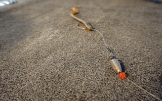 How to Fish the Carolina Rig: A Complete Guide | Outdoor Life