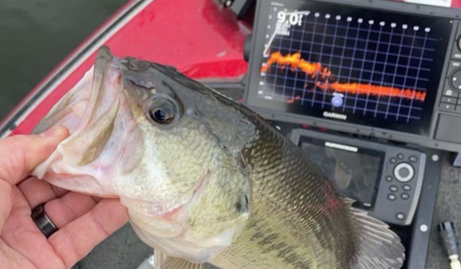 New Lures, Reels, Rods, and Lines Designed for Forward Facing Sonar ...