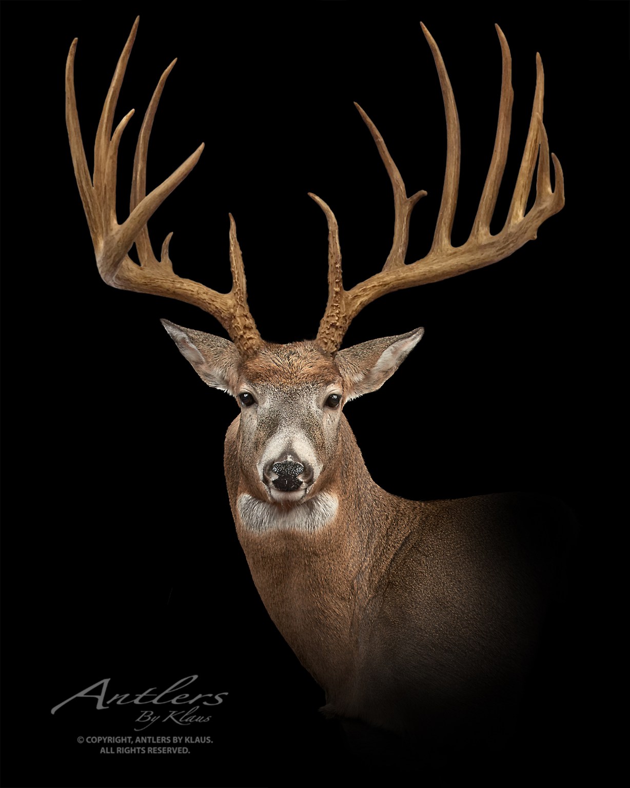 11 Monster Bucks That Are Shrouded in Mystery | Outdoor Life