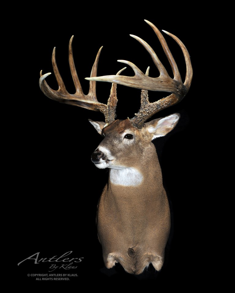 11 Monster Bucks That Are Shrouded in Mystery | Outdoor Life