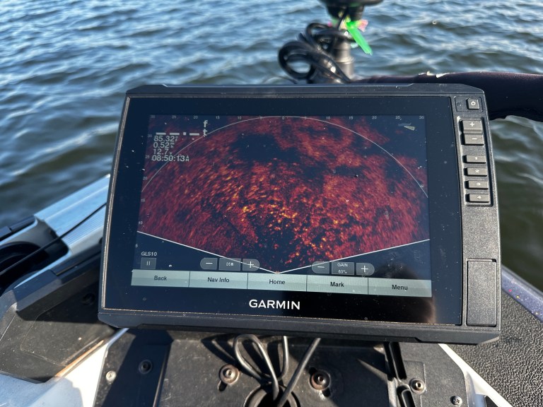 MEGA Live vs LiveScope: What’s the Best Forward Facing Sonar? | Outdoor ...